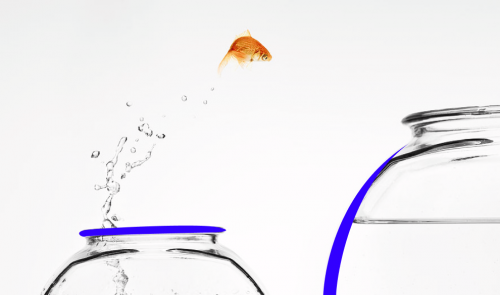 How to Optimize Pops Ad Campaign Like a Pro | RichAds