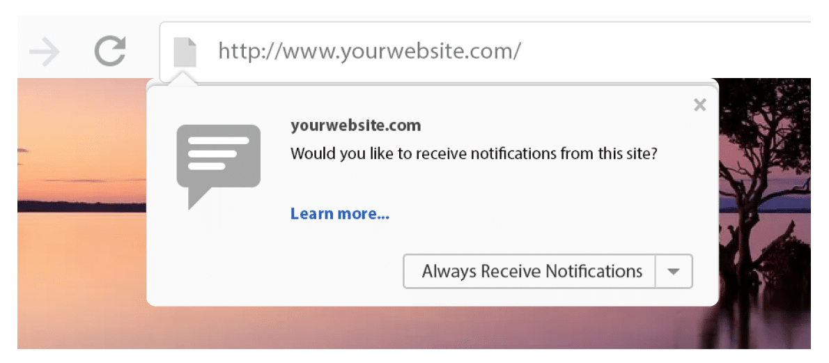 What is push ads network: Definition, Examples — RichAds Blog