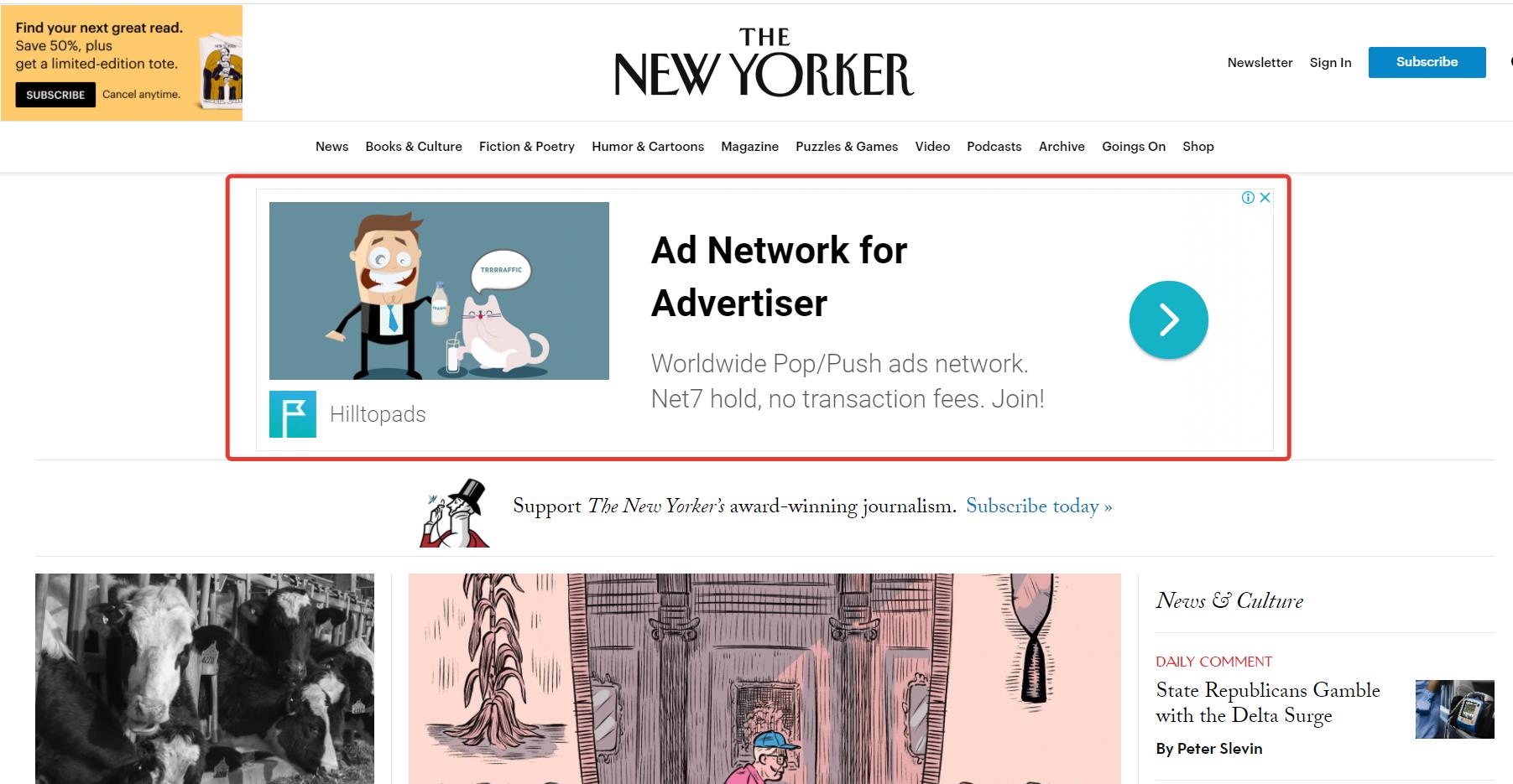 What is Website Monetization: Definition, Examples — RichAds Blog